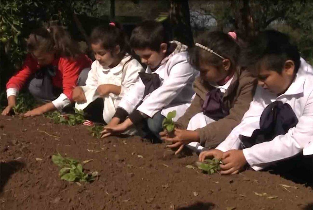 Clases en escuelas rurales implica movilidad de 13.500 niños y 1.400 ...