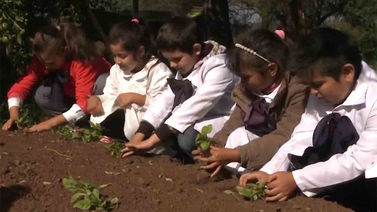 Clases en escuelas rurales implica movilidad de 13.500 niños y 1.400 ...