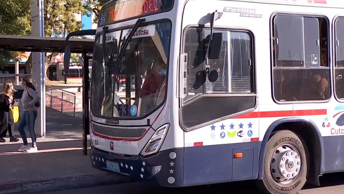 Instalarán cámaras en ómnibus para monitorear carriles Solo bus y ...