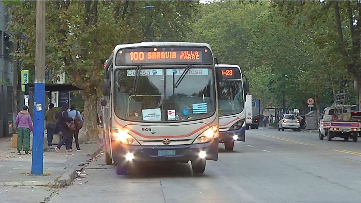 Cómo funcionará el transporte colectivo este jueves 25
