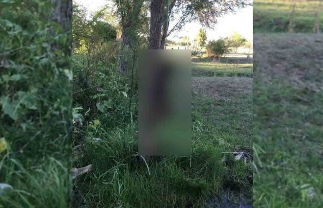 Vecinos de Mercedes indignados por la muerte de un perro colgado de un ...