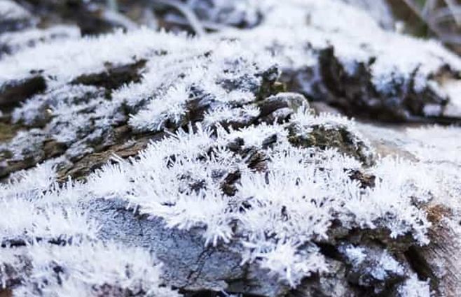 Escarchas, agua congelada y heladas: las fotos del frío polar este ...