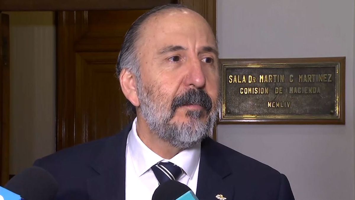 José Nunes: “El presidente es políticamente responsable de estos hechos ...