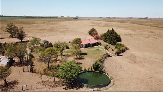 Así está el campo seco en Salto y Tacuarembó por la falta de lluvias