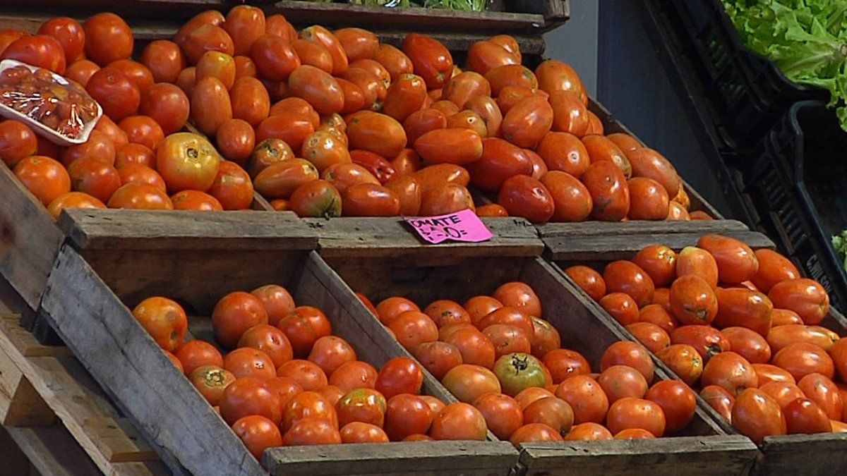 Hay abundancia de tomates en el mercado, a precios bajos, y varios ...