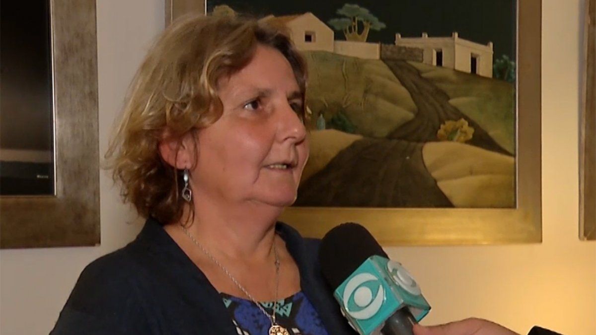 Willat: Esperamos que lleguen pronto los fríos para que disminuyan los ...