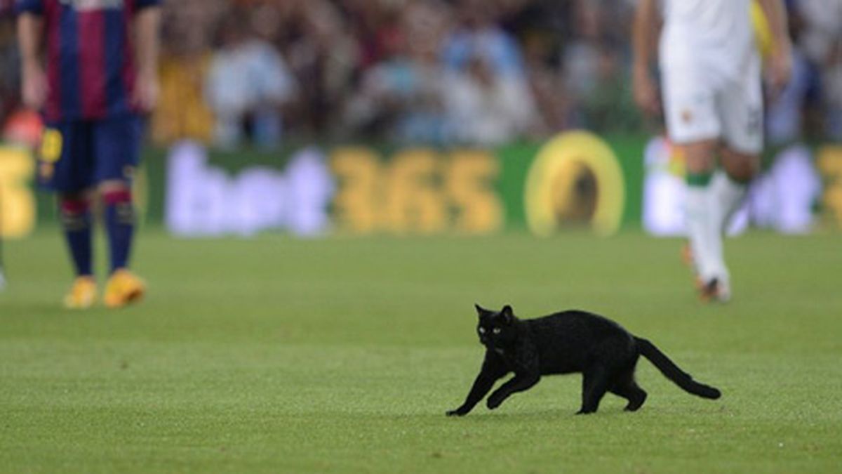 Messi y un gato negro, las figuras en el partido del Barcelona