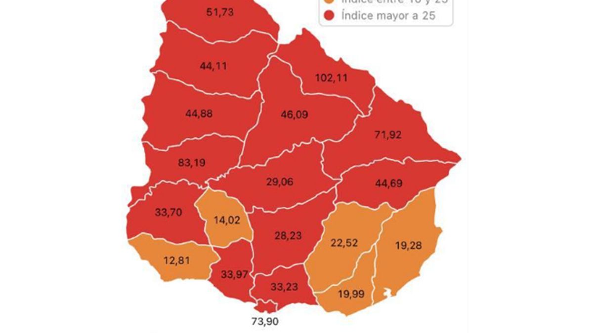 Casi 28.000 casos, 217 muertes y se duplicaron los activos e ingresos a ...