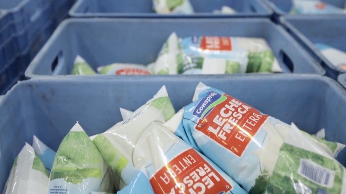 Sindicato de Conaprole realiza paro de 24 horas por despido arbitrario ...