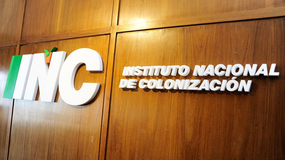 Alejandro Henry Rodríguez es el elegido para sustituir a Eduardo Viera en Colonización