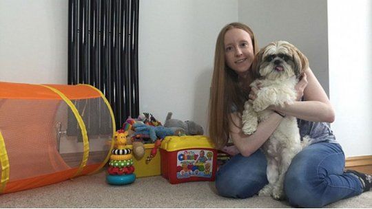 Conocé a Cooper, el perro genio que sabe sumar y soluciona problemas