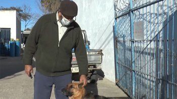 Un perro evitó una rapiña en un local de venta de garrafas