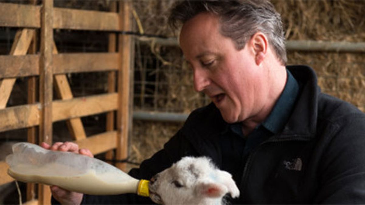 Biografía del premier británico cuenta su broma sexual con un cerdo muerto