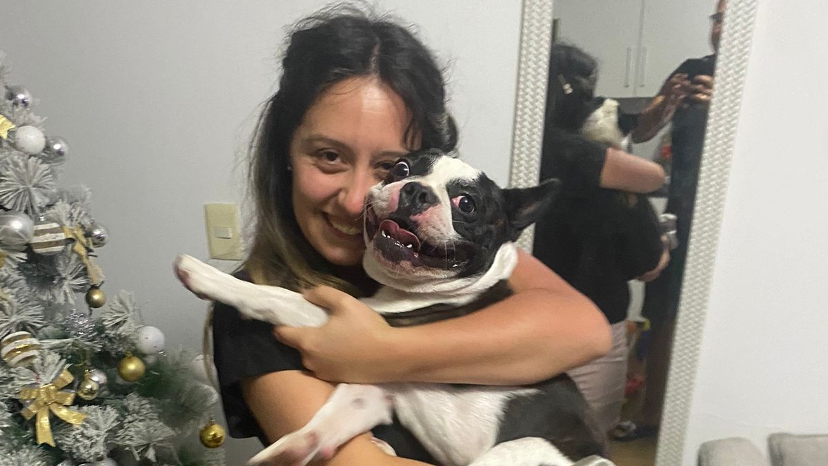 Con ayuda de un anónimo y pago de recompensa recuperaron a Peter, el ...