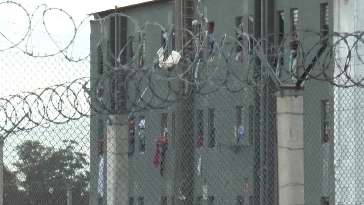 Hubo unos 150 casos nuevos de tuberculosis en cárceles en 2024 ...