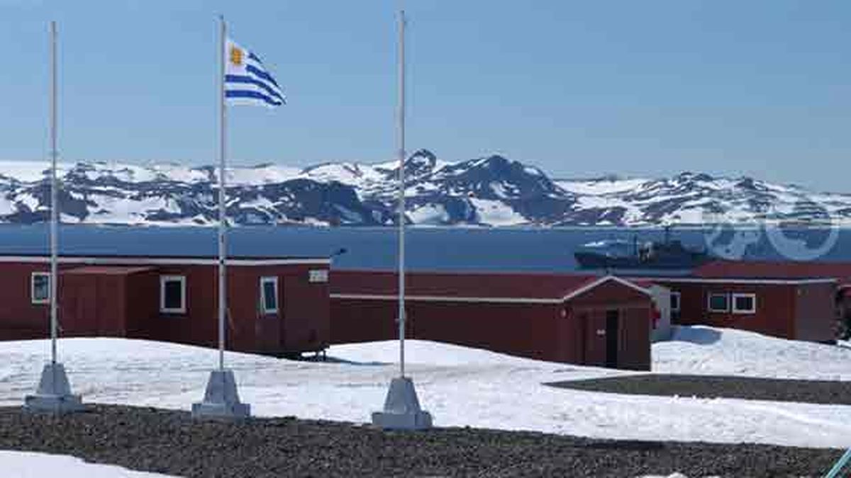 Viajes VIP a la Antártida: denuncian engranaje corrupto y un mini Ancap