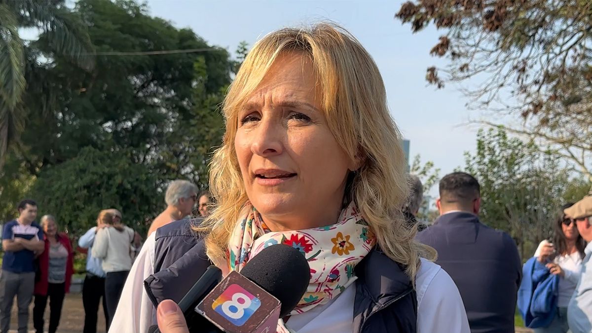 Raffo sobre los chats: La izquierda sube el volumen y se mete con temas ...