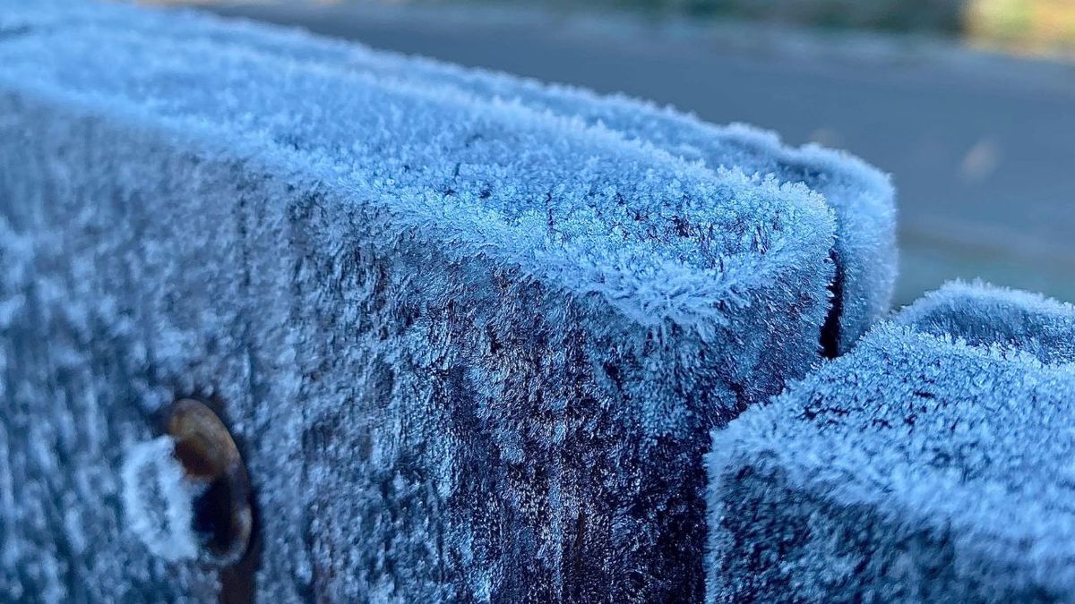En imágenes: así se vio la helada de este jueves, el día más frío del ...