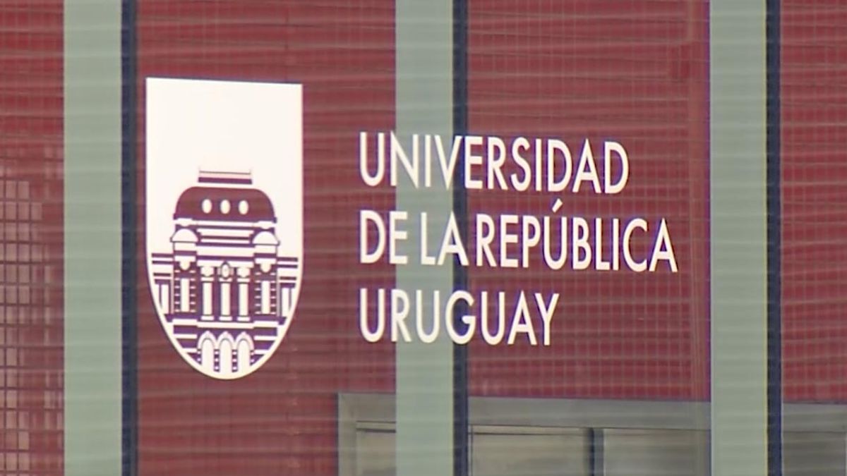 Udelar estableció que los cursos de todo el primer semestre sean a ...