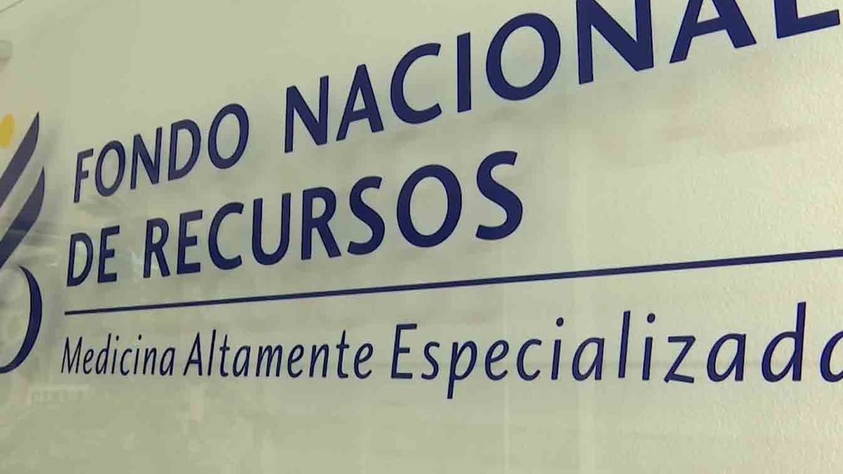 Designaron a Alicia Ferreira como presidenta alterna del FNR y a Ana ...