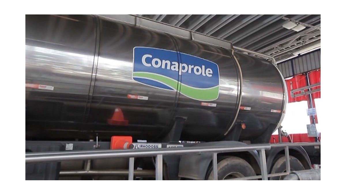 Nuevo conflicto en Conaprole: sindicato trabaja a reglamento y hace dos ...