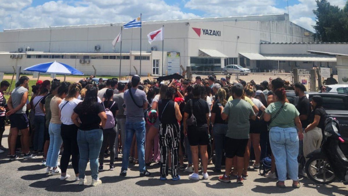 Multinacional japonesa Yazaki, con más de 1.200 empleados, anunció que ...