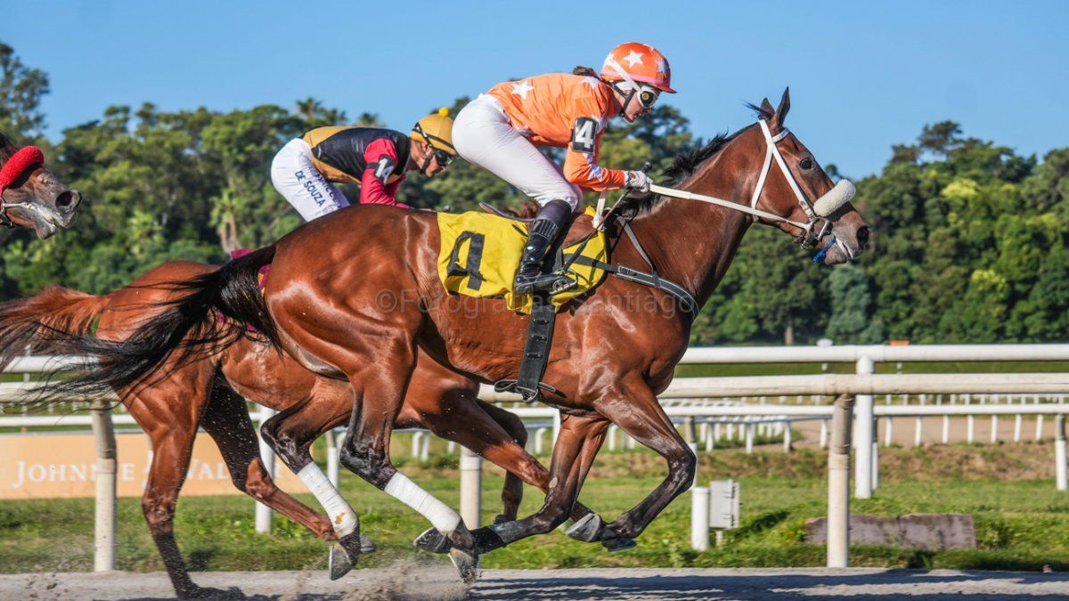 Pluto, Queen of Clubs y la histórica victoria de Fernanda Rodríguez