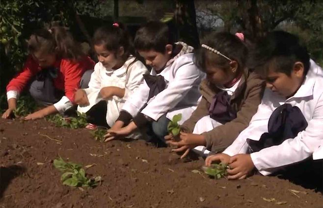 Clases en escuelas rurales implica movilidad de 13.500 niños y 1.400 ...