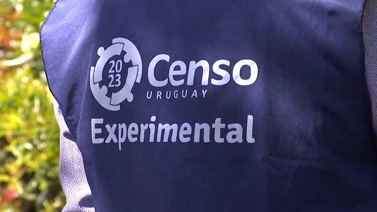 Más de 4.500 censistas comienzan a recorrer el país: lo que tenés que ...