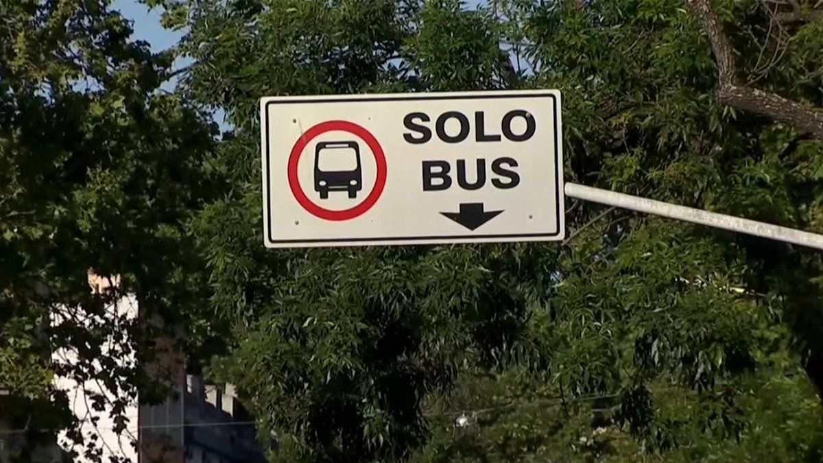 IMM multará a vehículos que circulen por senda Solo bus; licitará ...