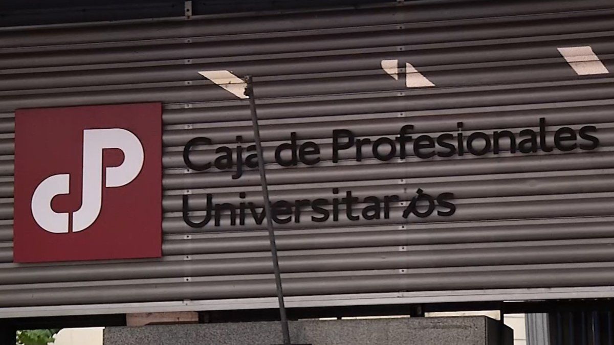 Proyecto de ley para la Caja de Profesionales: cuánto será el aporte ...