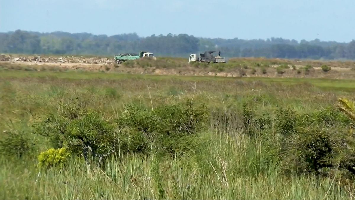 Ambiente analiza plan de recuperación de humedales para resolver si aplica multa a Intendencia ...