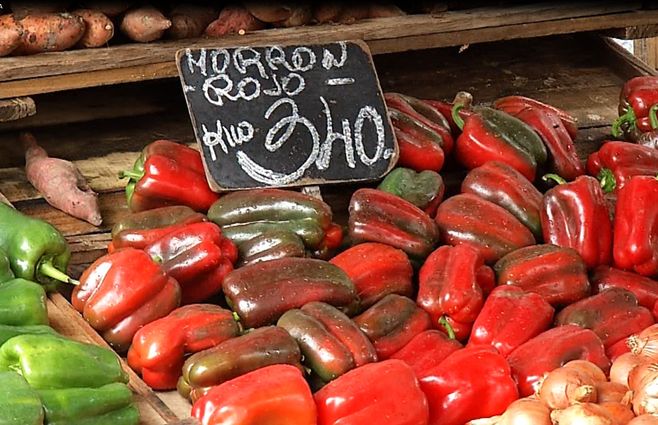 Por qué subió tanto el morrón rojo, y qué otras verduras comprar en la ...