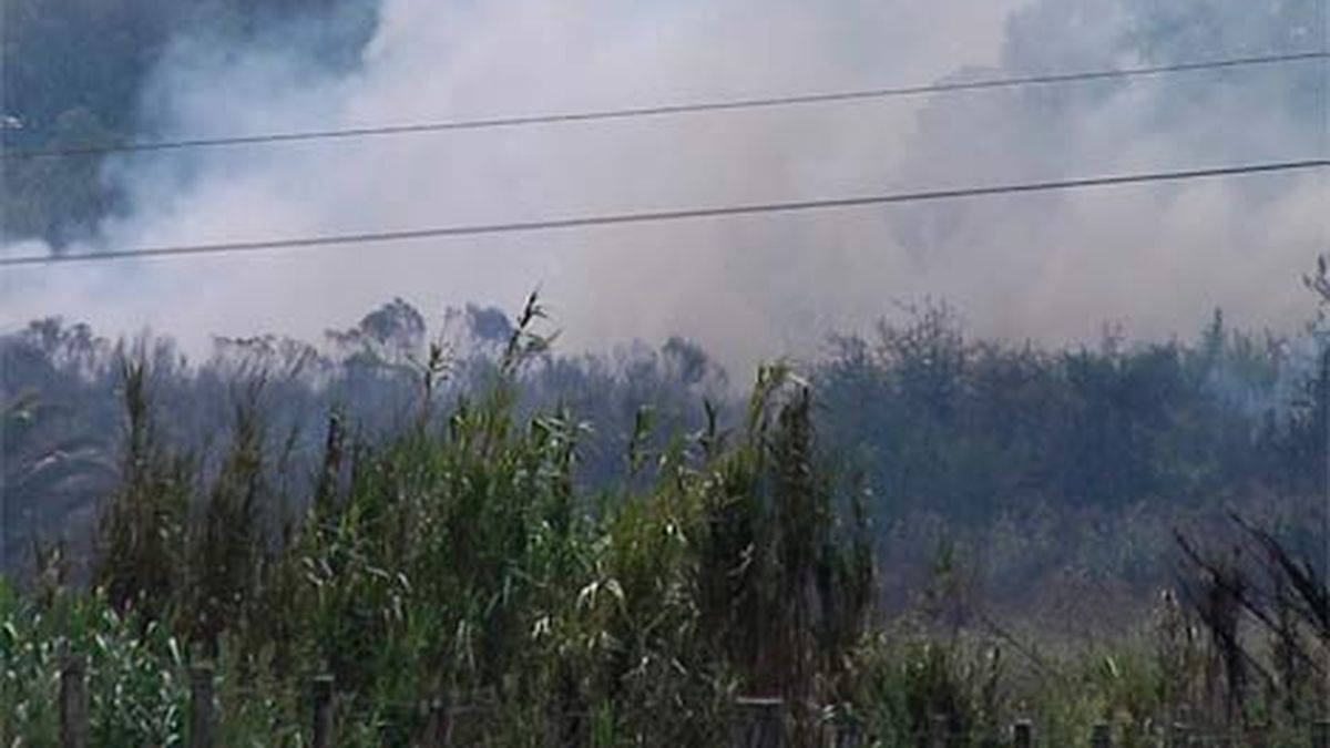 Incendio de 15 hectáreas cerca de la chacra de Mujica