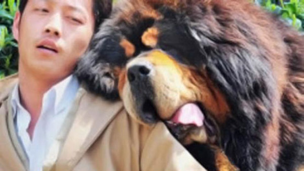Venden perro en China por 2 millones de dólares