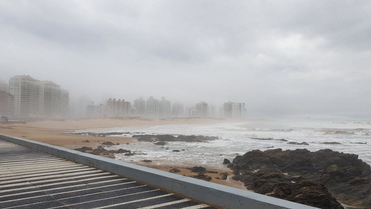 Nieblas y neblinas persisten hasta el jueves, luego ingresará aire polar