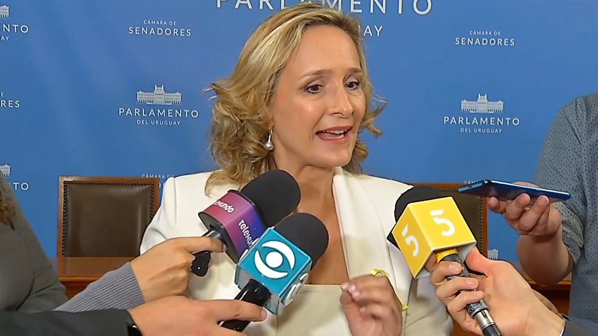 Raffo asumió en el Senado y presentó un proyecto para bajar el costo de ...