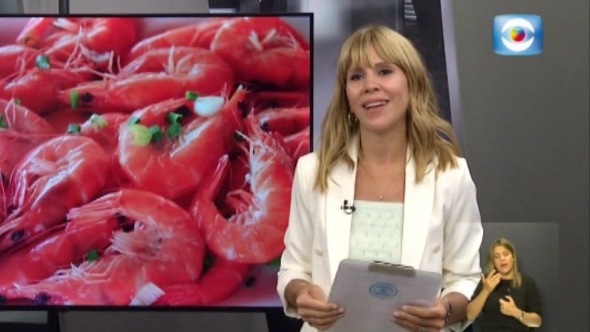 Ximena Torres presenta tres manjares típicos del verano: camarón ...