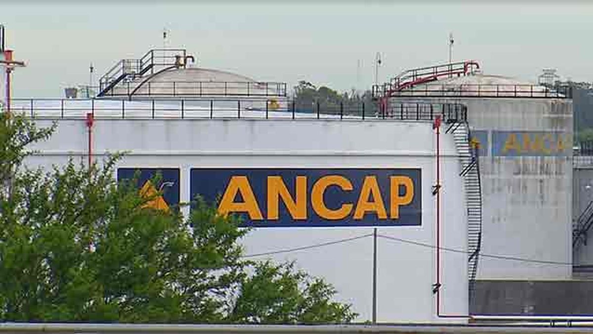 Estos son los nuevos directores de Ancap designados por Vázquez