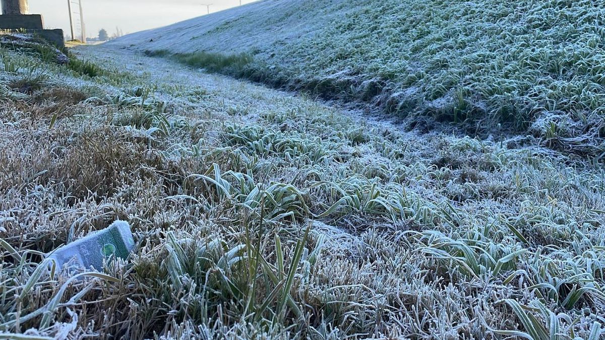 De frío a muy frío; así continúa la semana, según el pronóstico de ...