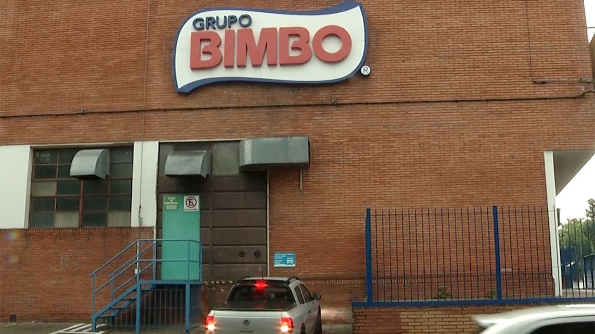 Últimas noticias sobre Bimbo - Subrayado