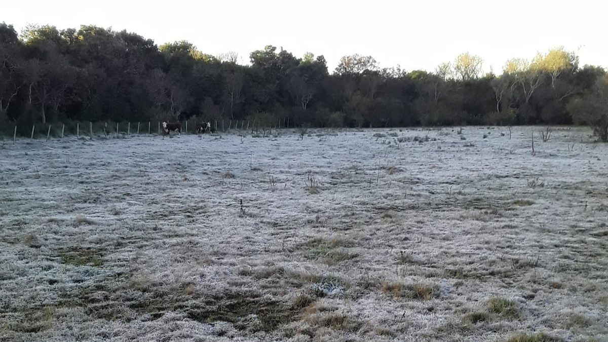 Vuelven los días fríos y muy fríos, con temperaturas mínimas bajo cero ...
