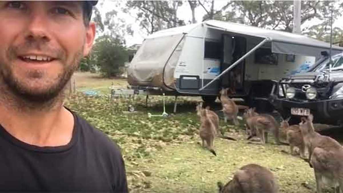 Le dio de comer a un canguro y al día siguiente le cayó toda la manada