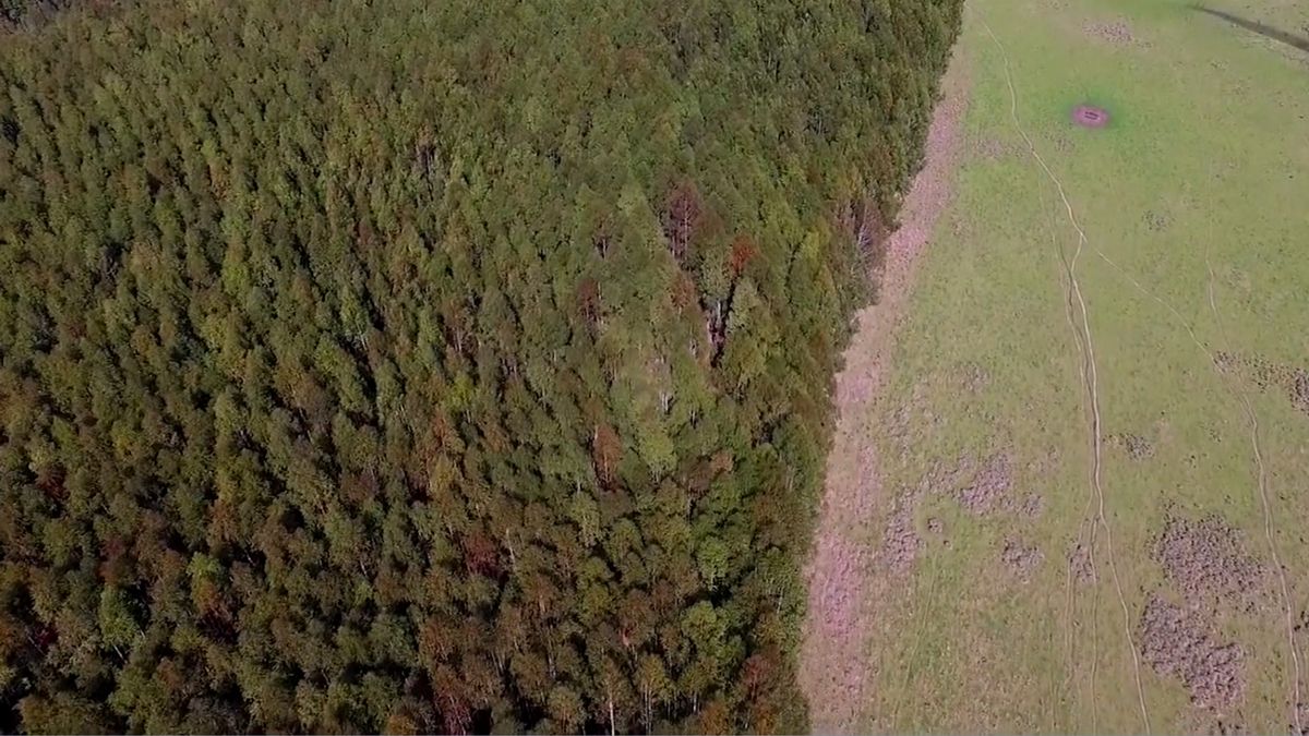 UPM respondió al Ministerio de Ambiente por multa tras vertidos en ...