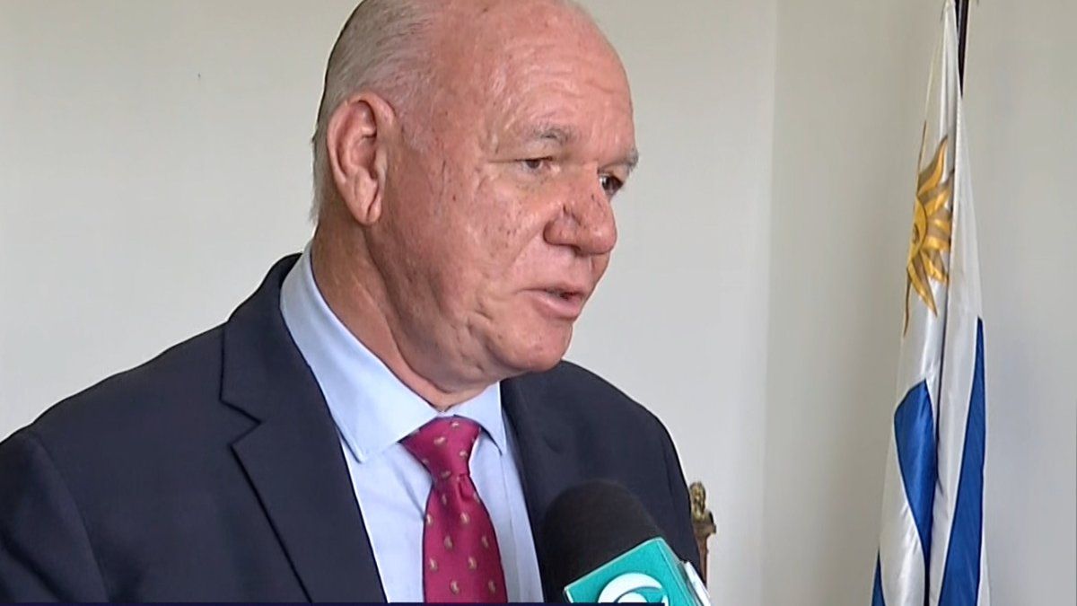 Verri sobre proyecto de hidrógeno verde: No es una prioridad producir ...