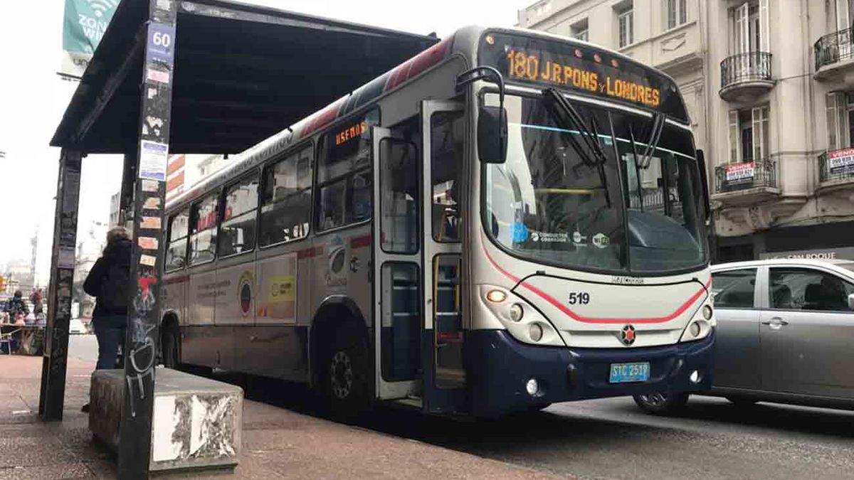 Transporte para votar: Cutcsa asegura que estarán en la calle con todos ...