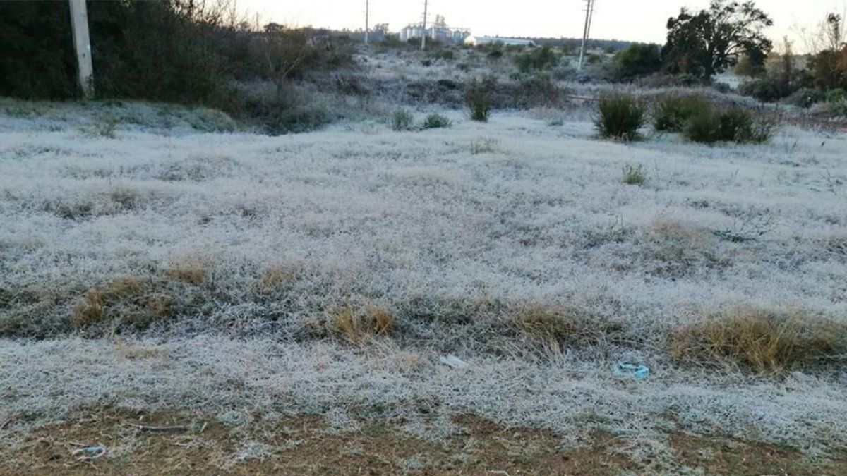 Así amanecieron algunas zonas del país tras las heladas y bajas ...